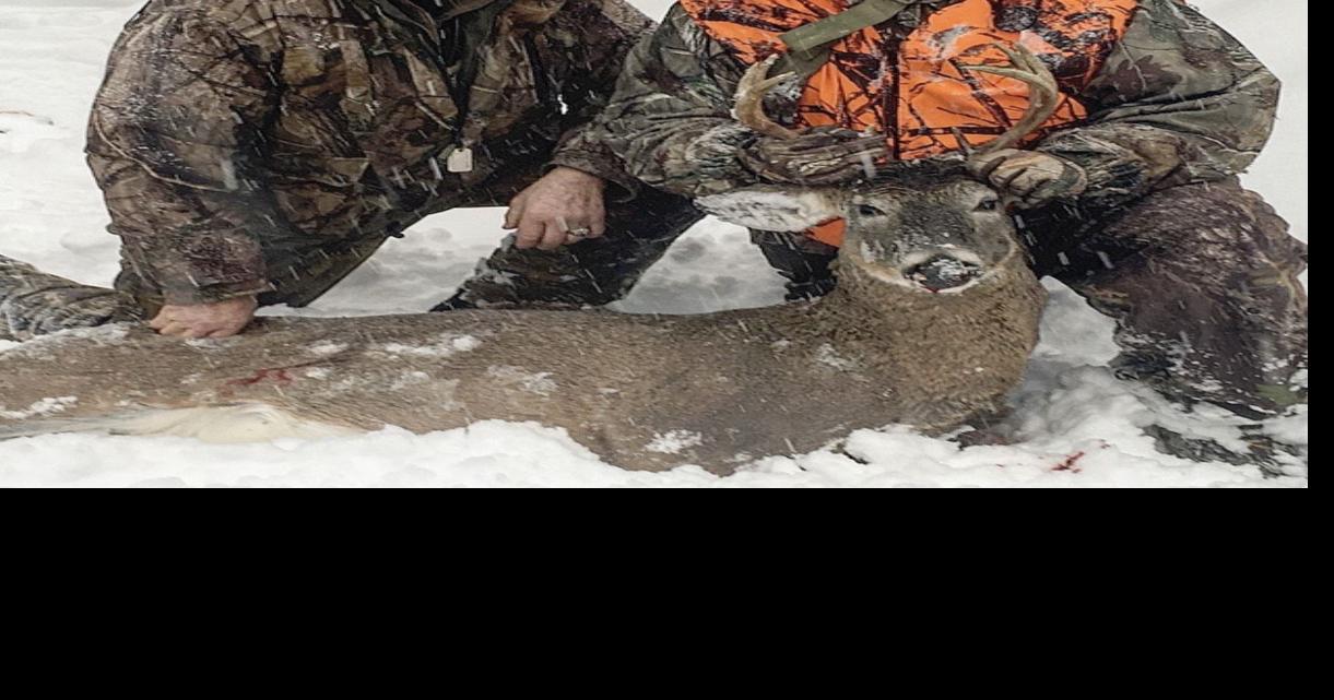 Regular firearms season for bear and deer hunting in Cayuga County ...