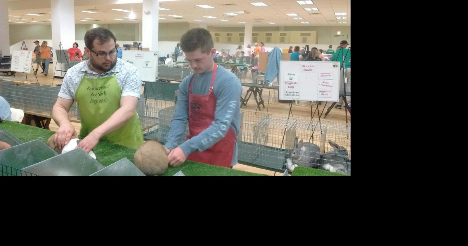 Animals, people come together for rabbit and guinea pig festival in ...