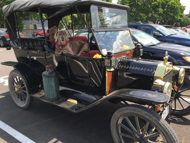 'A great ride': Model T tour wraps up in Cayuga and Onondaga counties