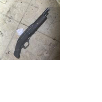 Police: Auburn man menaced others with sawed-off rifle