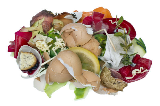 Billions undernourished, so why so much wasted food?