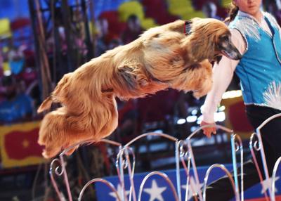 Auburn High to host Bill Martin's Cole All Star Circus