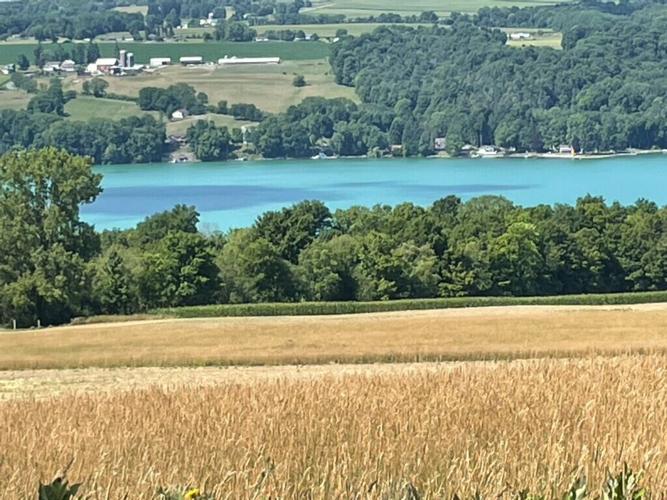 The importance of Owasco Lake's nine-element plan