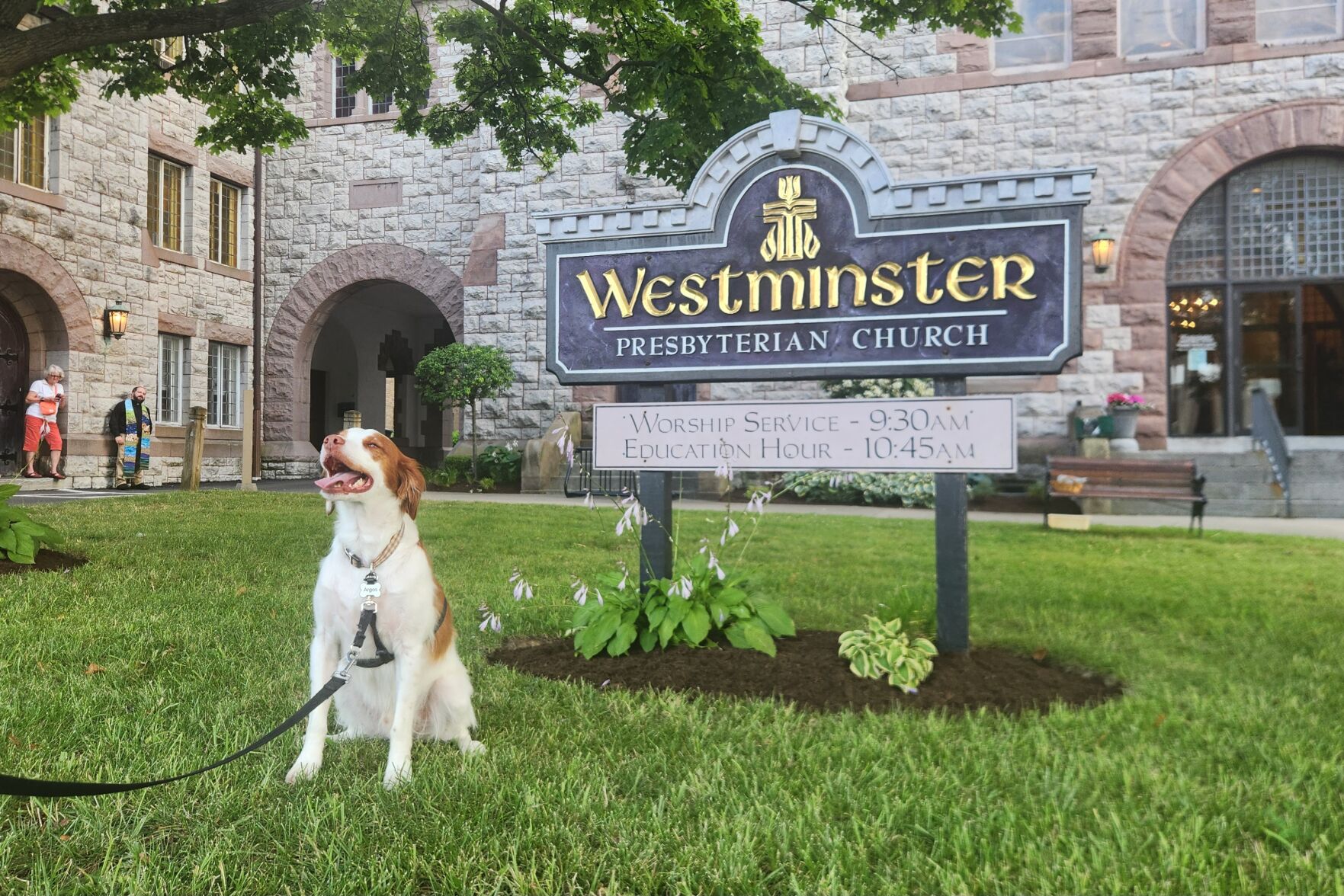 Blessing of the Animals at Auburn church (photos, video)