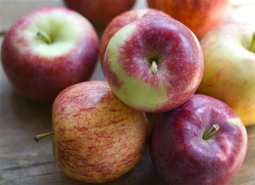 Which apple, which recipe? Our primer explains all