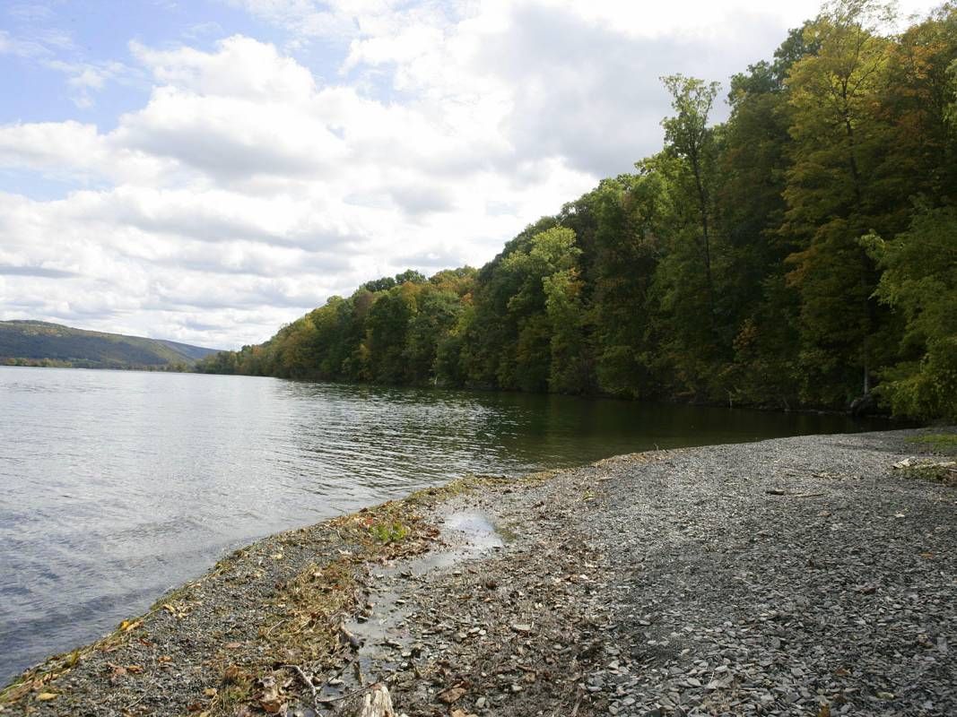 Finger Lakes Land Trust acquires 1,300 feet of shoreline, 38 acres of ...