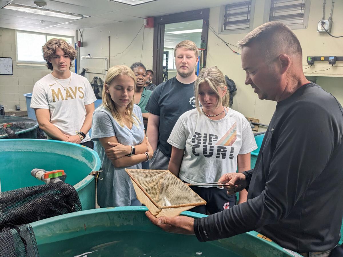 Upstate SUNY students join Great Lakes fish restoration project
