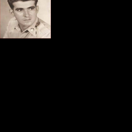 Arthur John Carnicelli