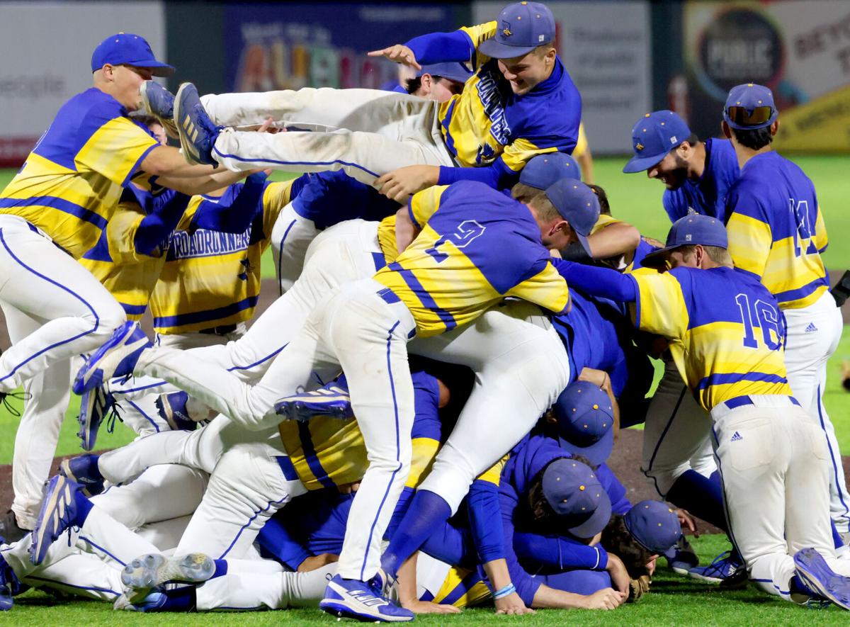 Auburn to host 2027 NJCAA Division III Baseball World Series