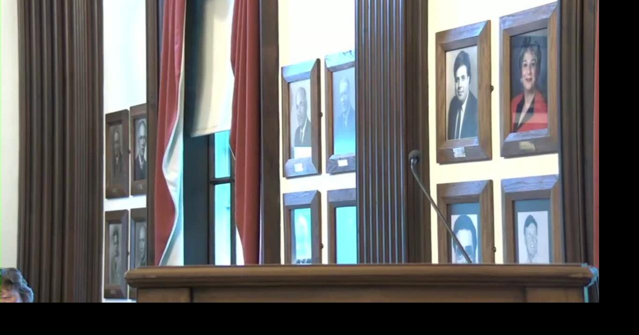 Video: Auburn City Councilor Terry Cuddy on Flock cameras