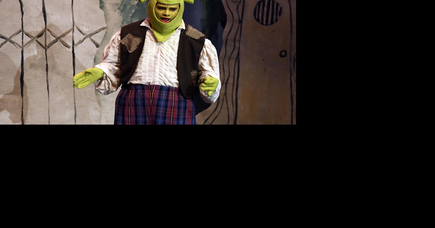 Gallery: Auburn Junior High players bring 'Shrek the Musical' to life ...