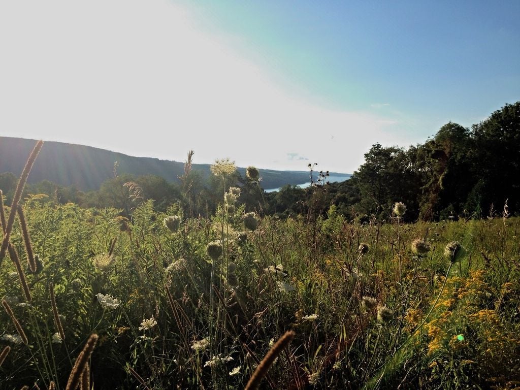 Finger Lakes Land Trust eyes funding for Skaneateles Lake conservation in region-wide report