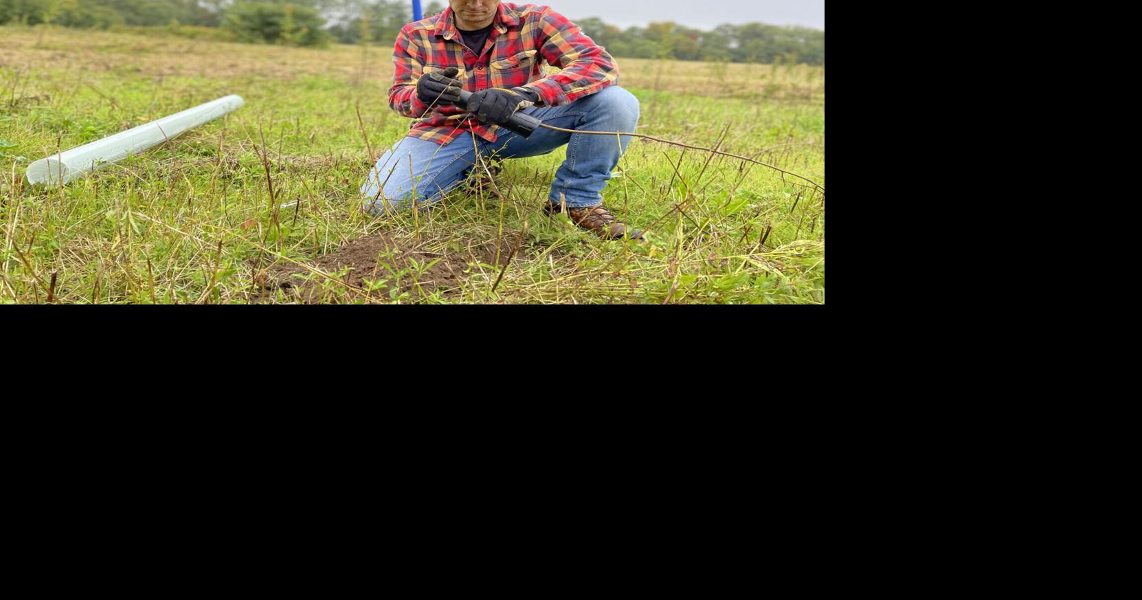 Chestnut trees being reintroduced at Cayuga County nature preserve