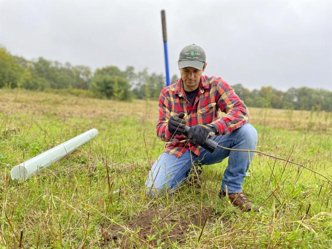 Chestnut trees being reintroduced at Cayuga County nature preserve