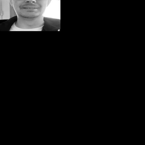 David A. Lupo