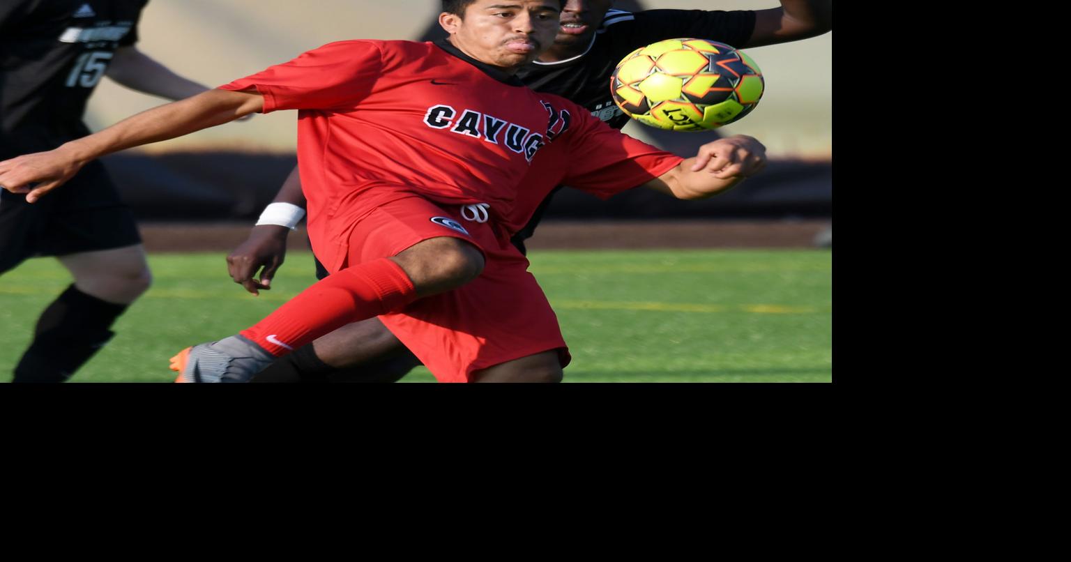 Cayuga's baseball, softball and men's soccer teams receive accolades