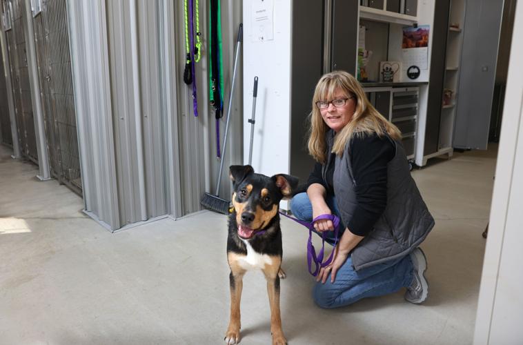 Auburn awards dog control contract to Canine Cove