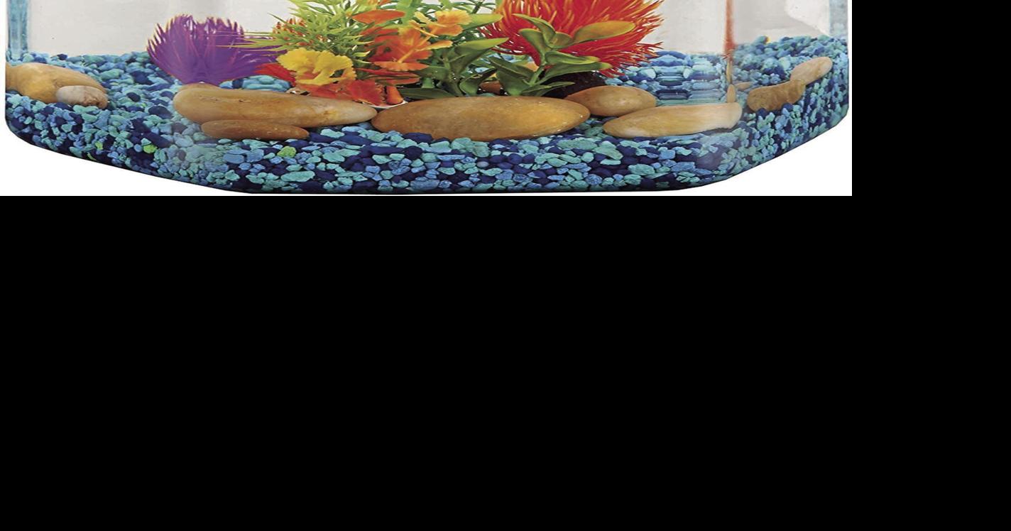 Koller Products BettaTank Hex Fishbowl