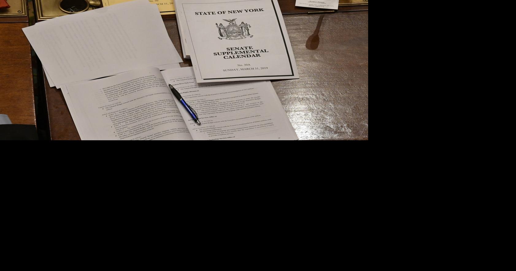 After first state budget process, NY Sen. Bob Antonacci eyes reform