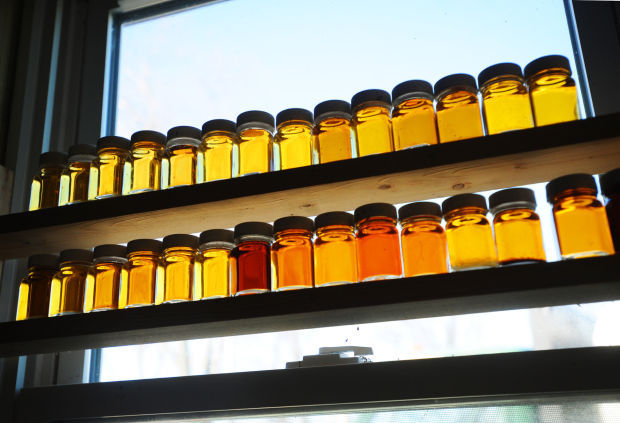 Learn to produce maple syrup at Seneca Falls event