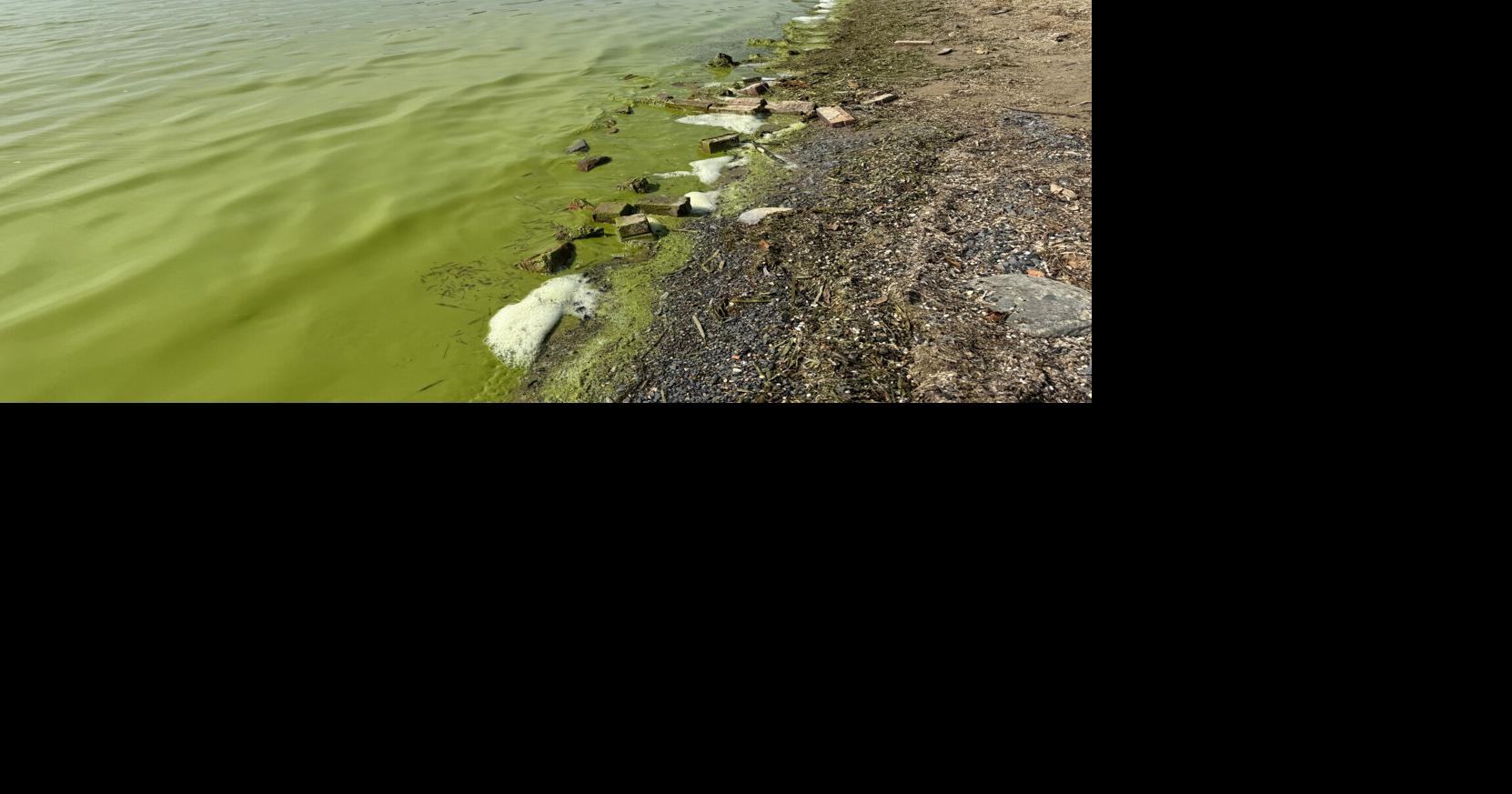 Auburn council exploring Owasco Lake intake pipe extension