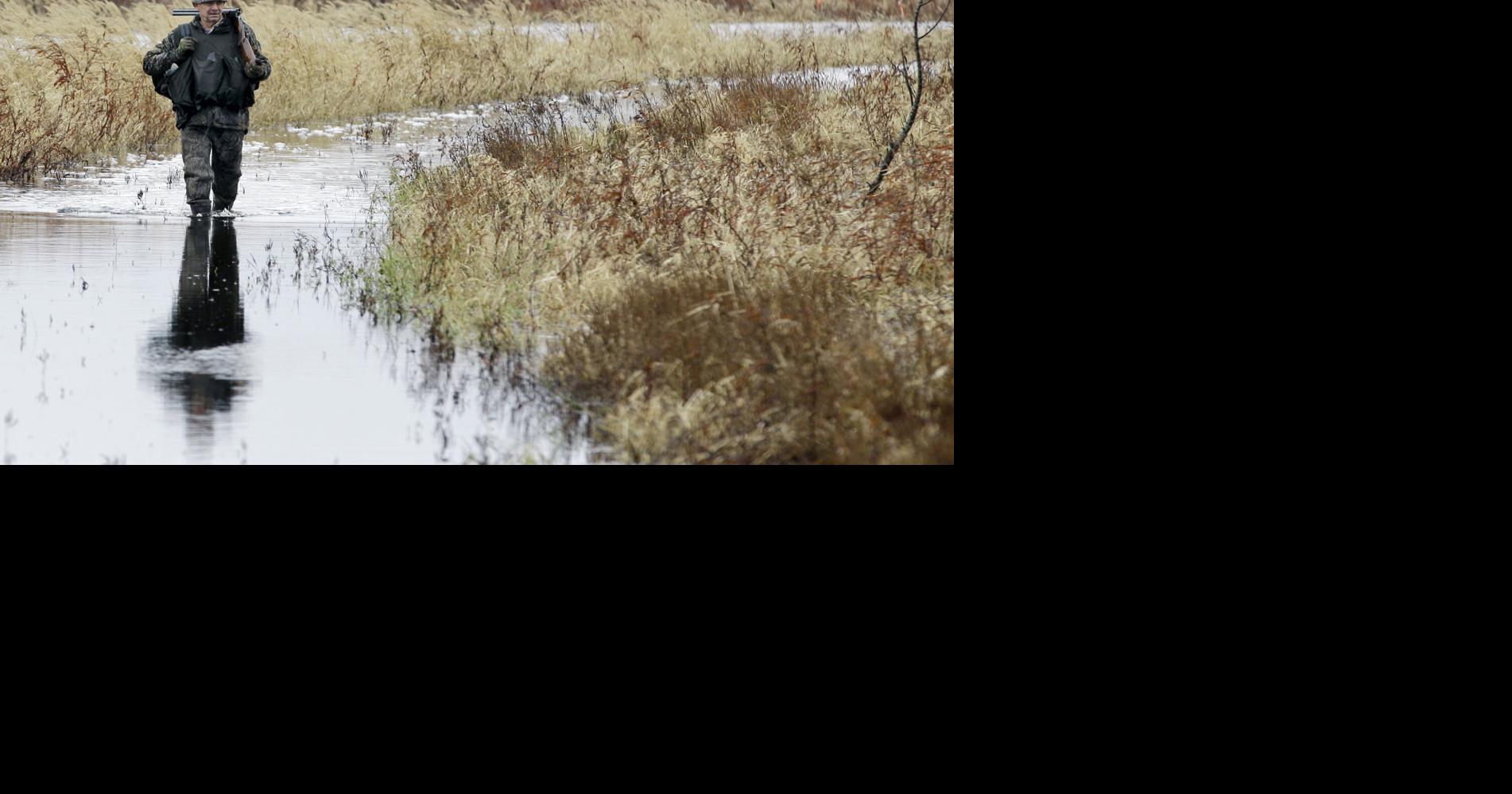NY hunting season was second-safest on record, DEC says