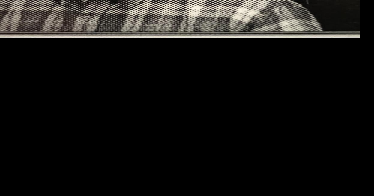 Michael and Phyllis Milillo