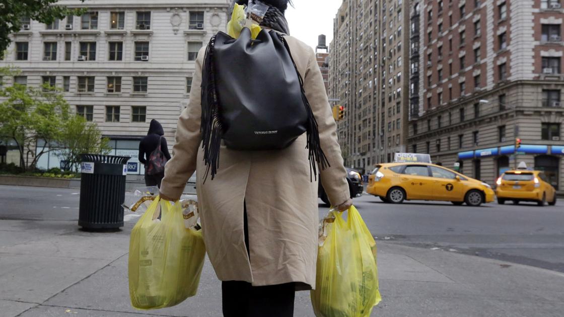 NY Senate Backs Plastic Bag Ban Wants Fee On Paper Bags Eye On NY ny-senate-backs-plastic-bag-ban-wants-fee-on-paper-bags-eye-on-ny