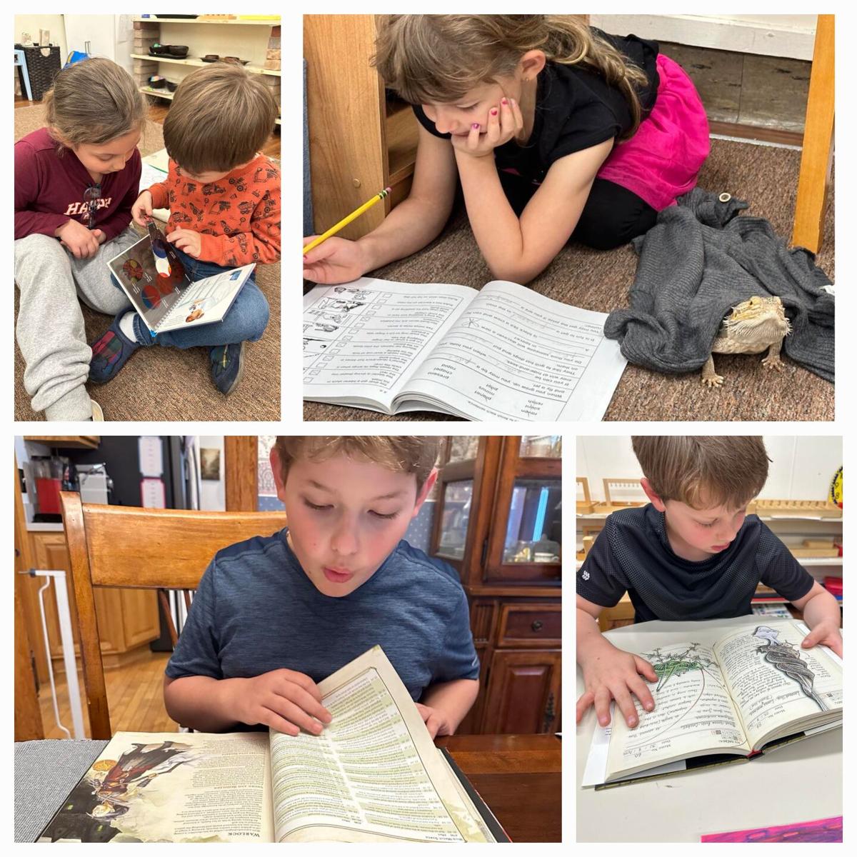 The Montessori approach to reading