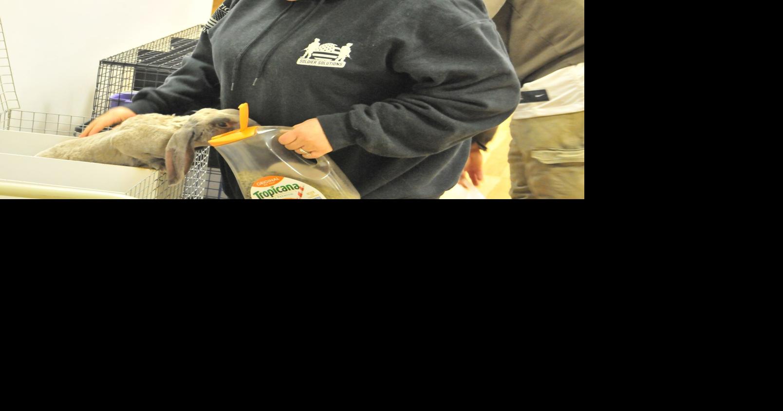 Gallery: 2019 Rochester Rabbit show at the Fingerlakes Mall in Aurelius