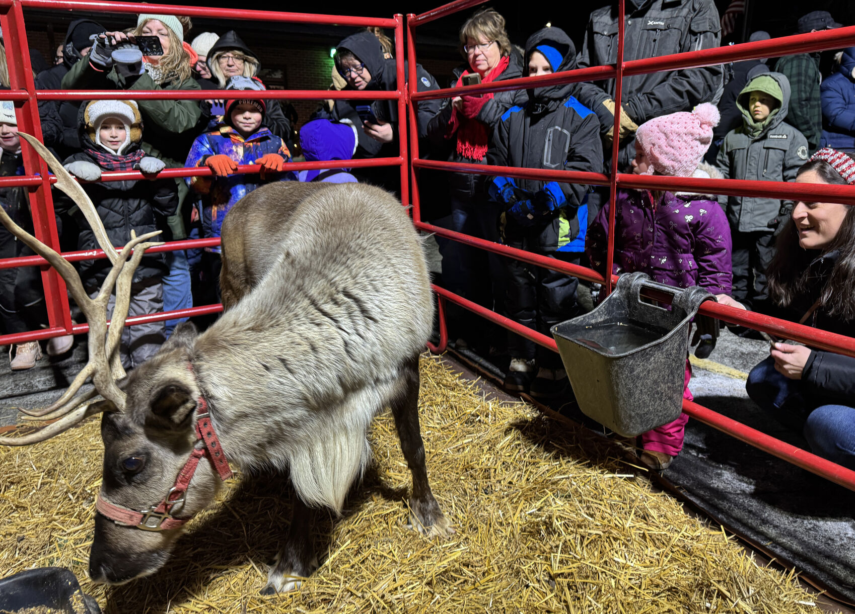 Santa's reindeer appear in Union Springs (photos, video)