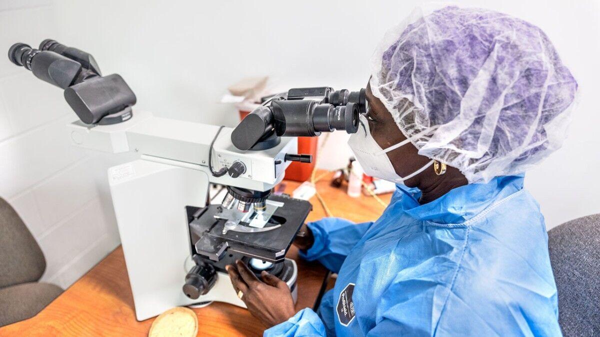 Cornell makes progress battling avian flu threat