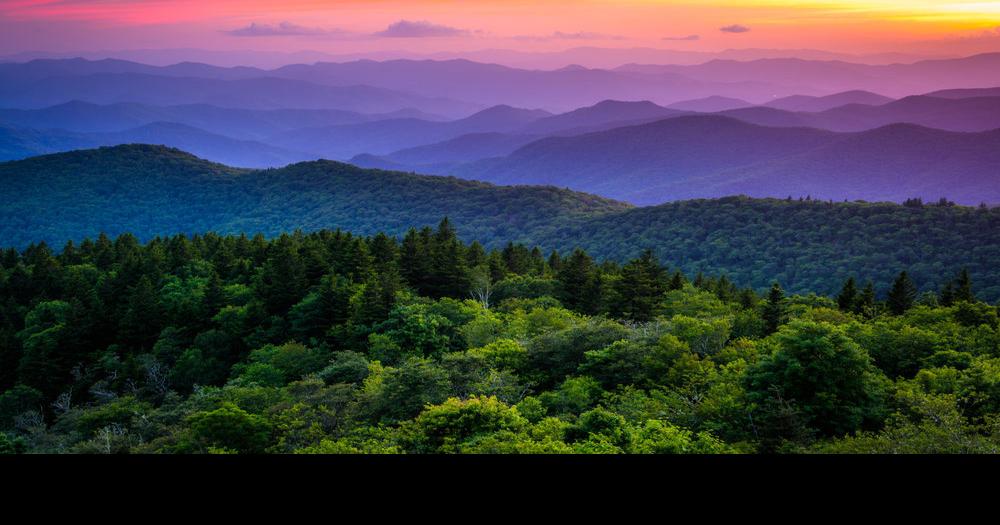 Eco Talk: Why forests matter in our everyday lives