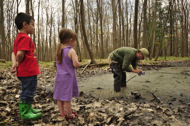 Explore vernal pools in Sterling, raptor migration with Audubon