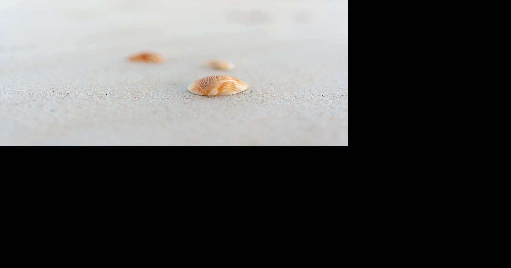 Surf's up! Florida's St. George Island beach named nation's best in ...