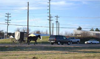 Amish won’t budge on buggy fight
