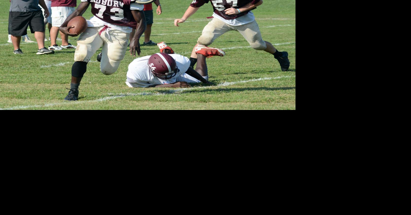 Slideshow: Cayuga County-area high school football team previews