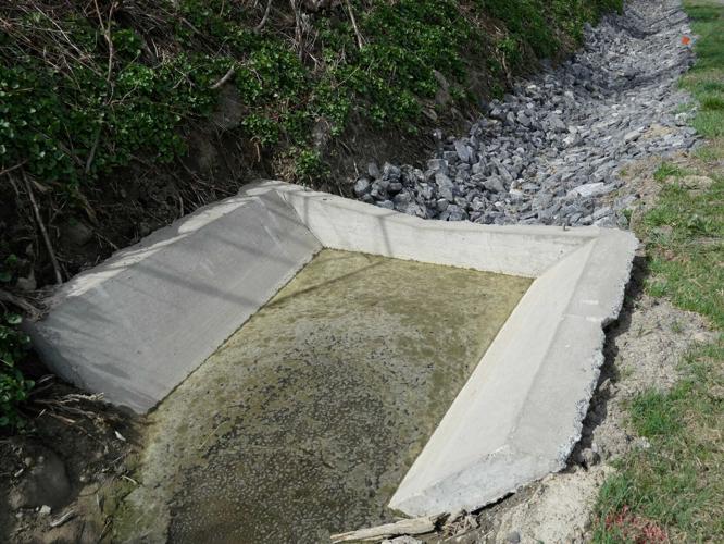 Aluisio: Collaboration stabilizes Scipio ditch for water quality ...