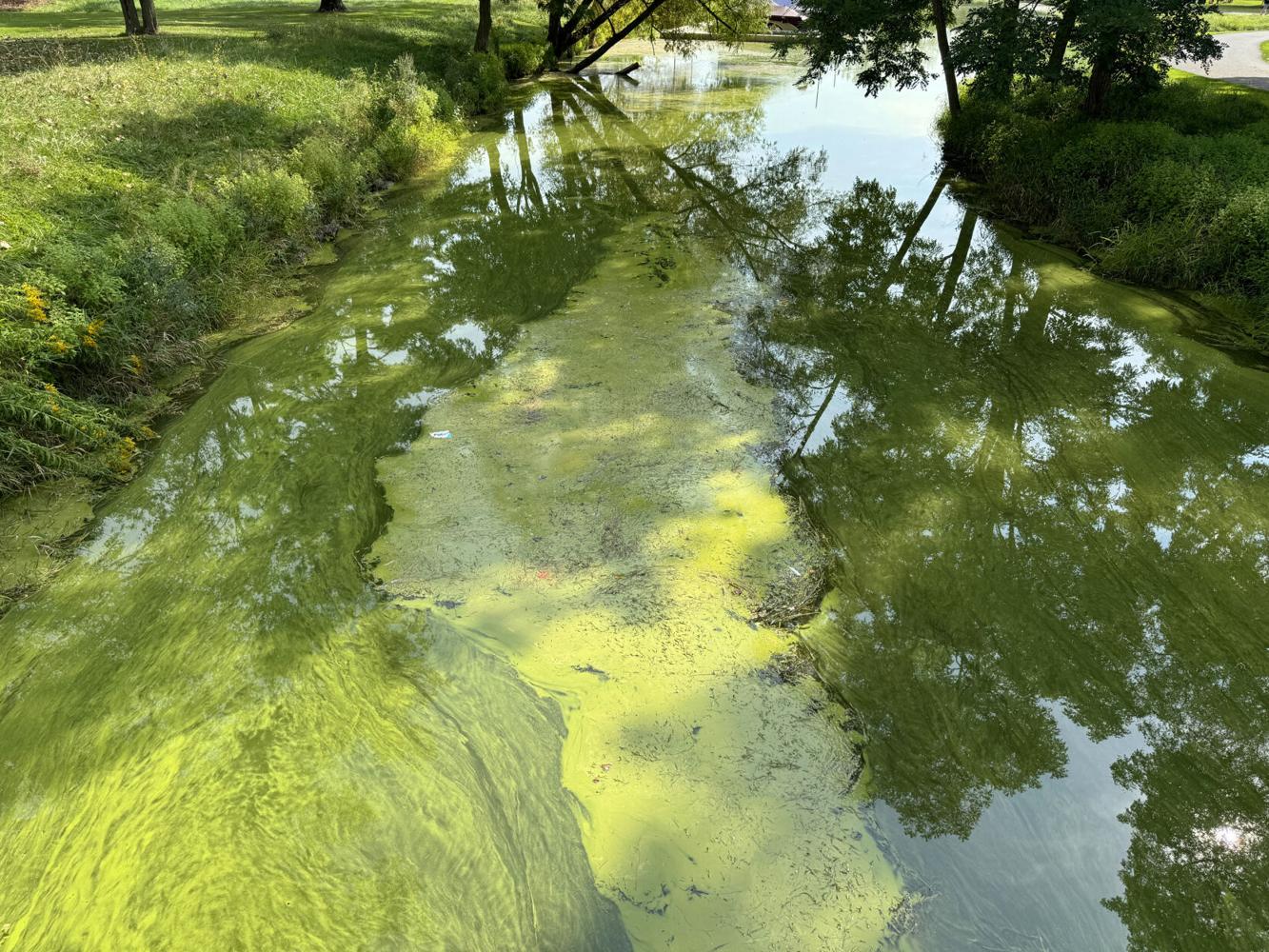 Column: How bad are the harmful algal blooms on Owasco Lake