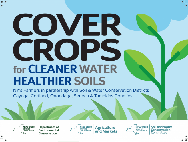 Eco Talk: The benefits and economics of cover crops