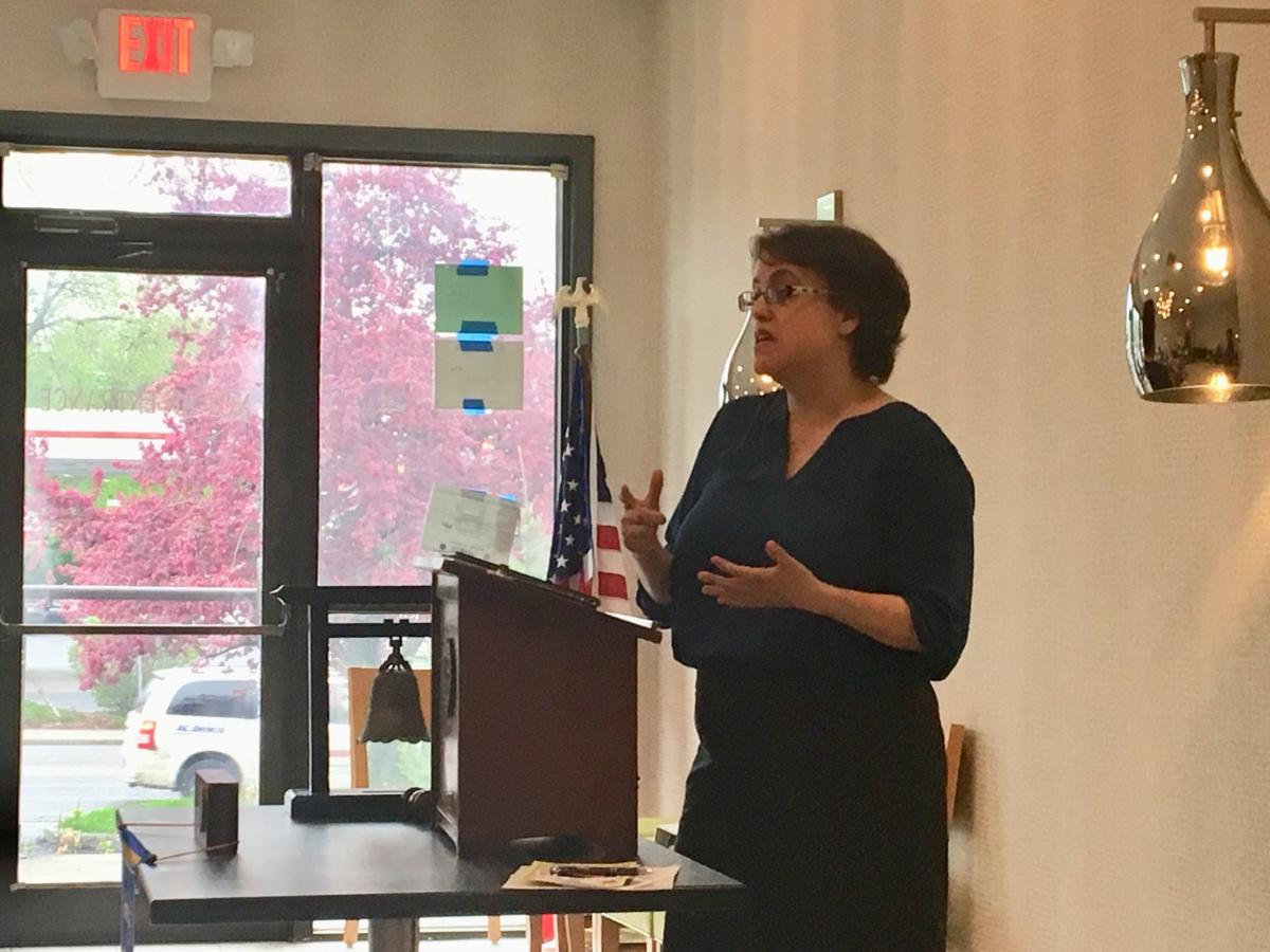 Dana Balter at Auburn event: Campaign will show D.C. Democrats 'right ...