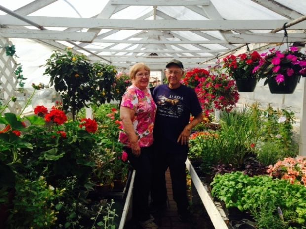 Village People: David and Lois Laxton spend lives working on the land ...