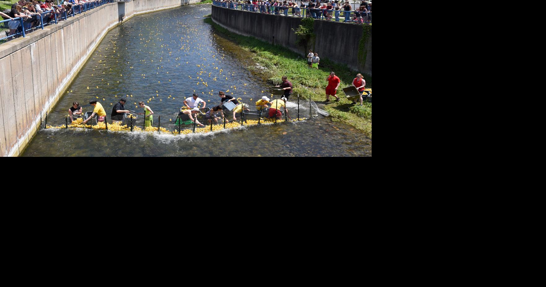 Duck Derby returning to downtown Auburn this Memorial Day
