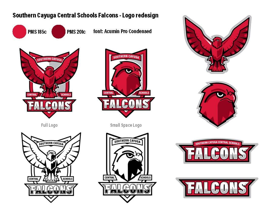 Southern Cayuga school district reveals Falcon mascot logo