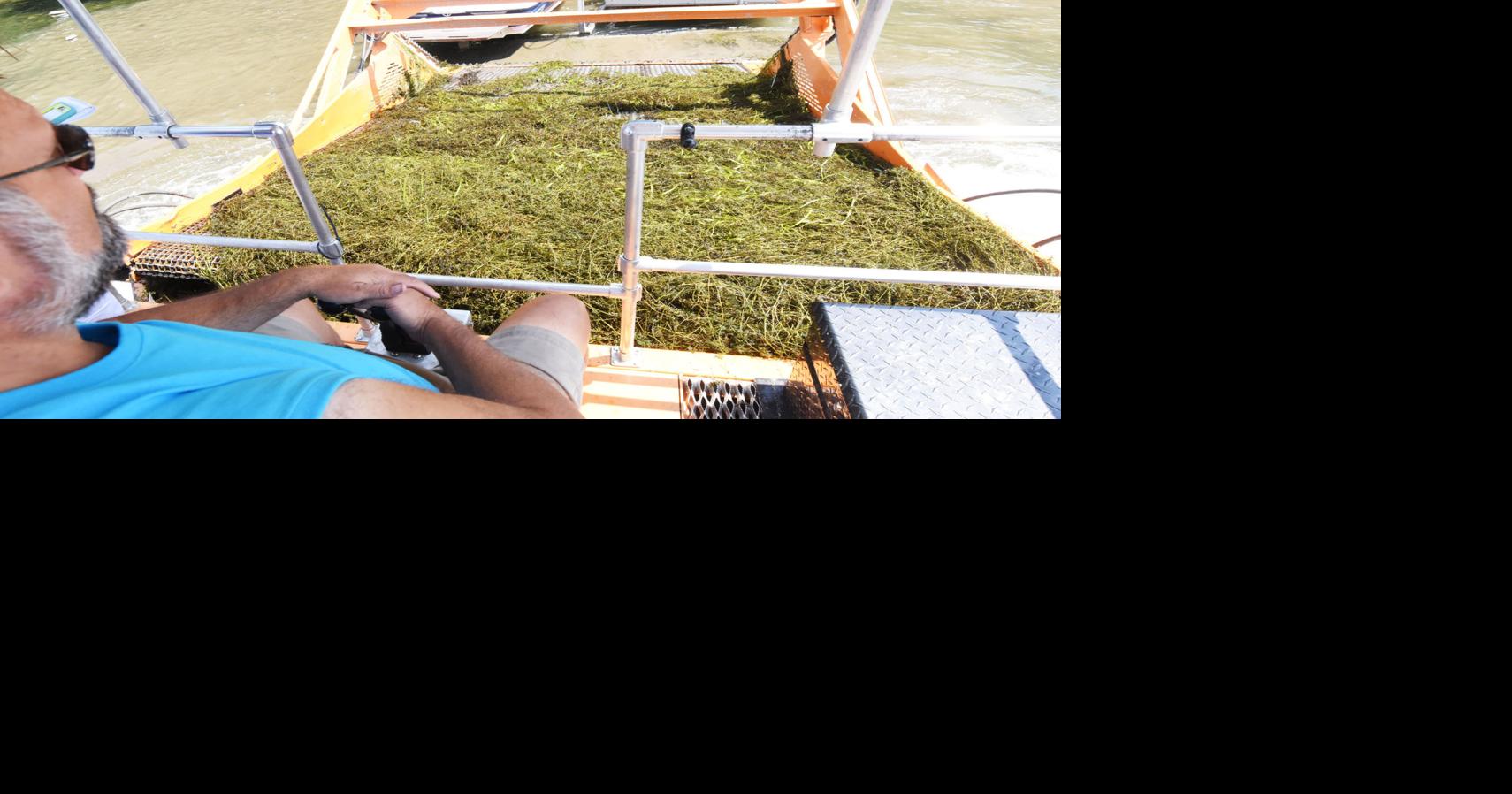 Lake mowing: Cayuga County Soil and Water District cuts Owasco Lake ...