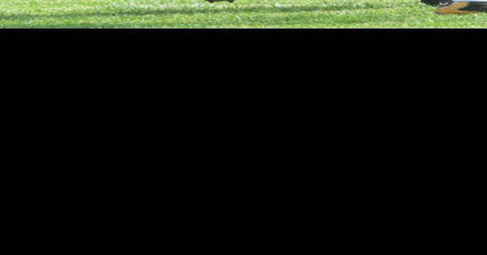 Blue Devils downed by Crusaders: Moravia football doubled up by Elmira ...
