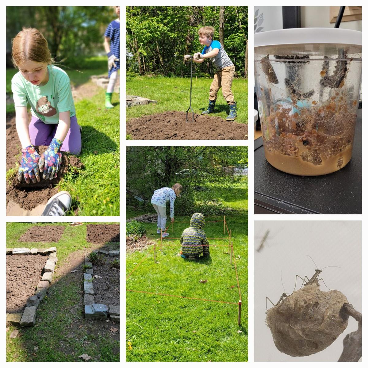 Creative Minds Montessori: Interacting with nature