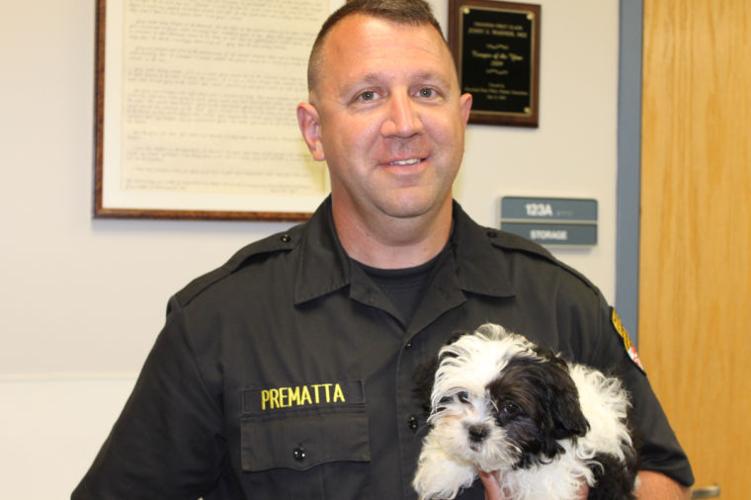 Police recover dog alive after it falls from car on I-95 | News ...