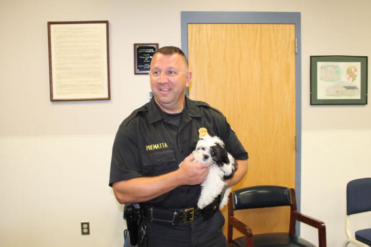 Police recover dog alive after it falls from car on I-95 | News ...