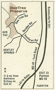 Tree planting Saturday at Bee Tree Preserve | News | avenuenews.com